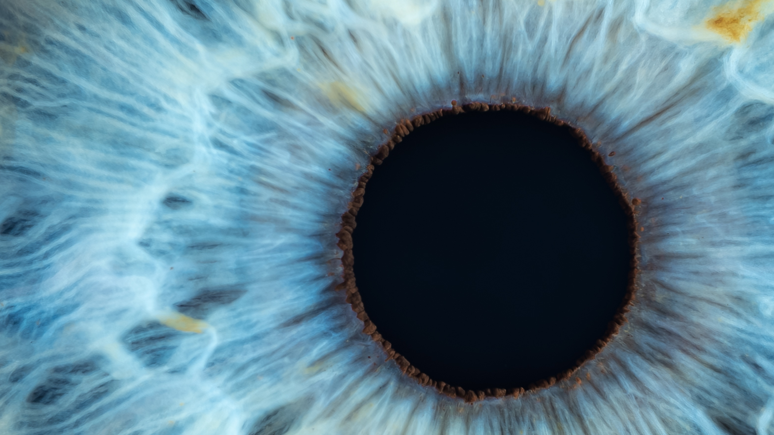 O Art – Iris Studio | Les Rivières